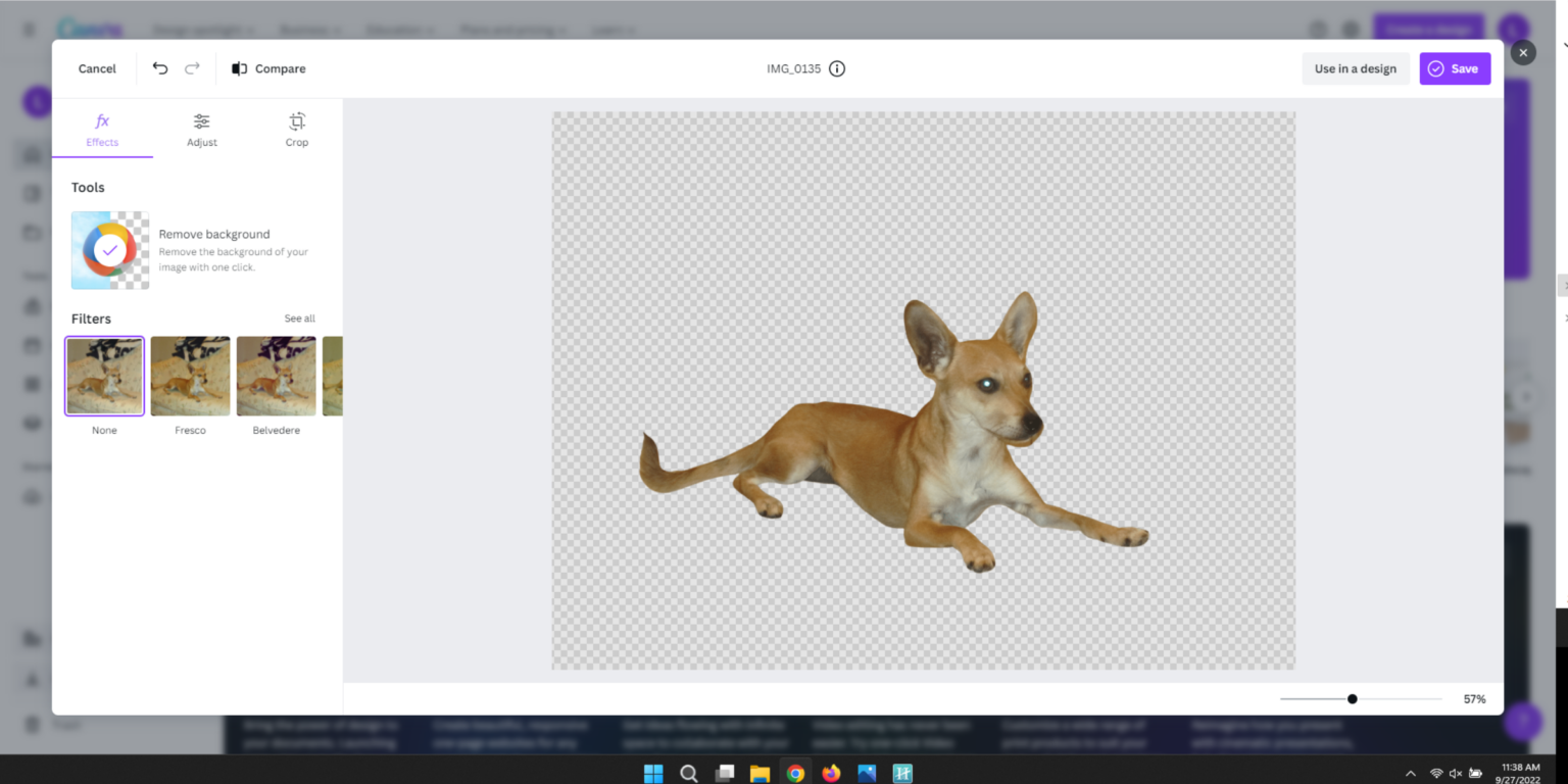How To Digitize Photos For Embroidery (Tutorial)